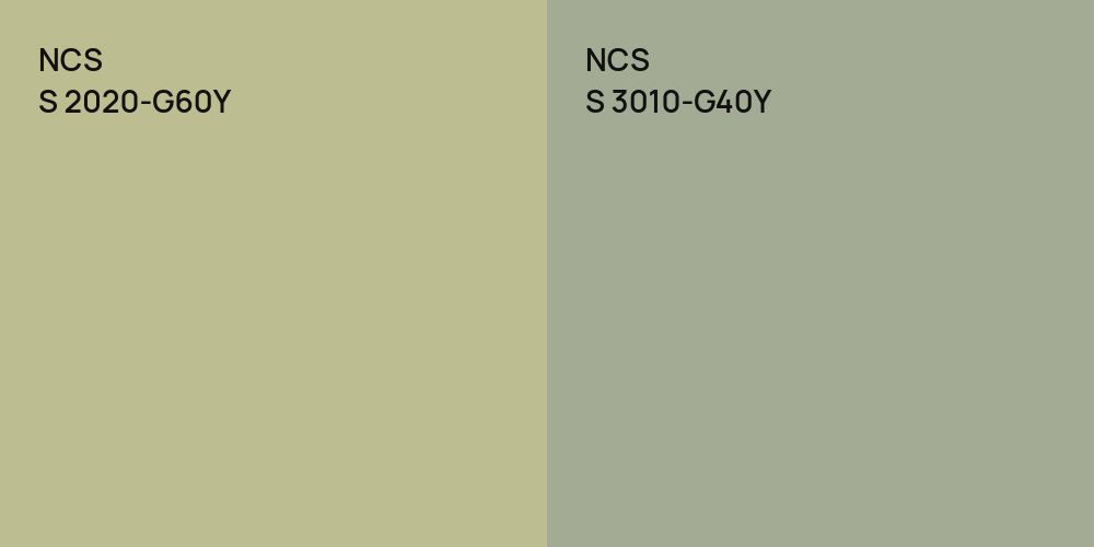 NCS S 2020-G60Y vs. NCS S 3010-G40Y comparison