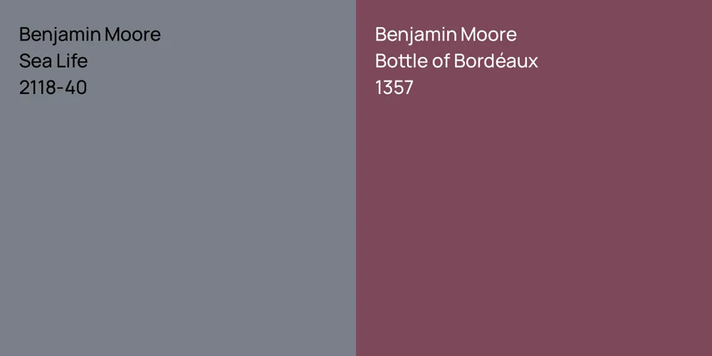 Benjamin Moore Sea Life Vs Benjamin Moore Bottle Of Bordéaux Comparison