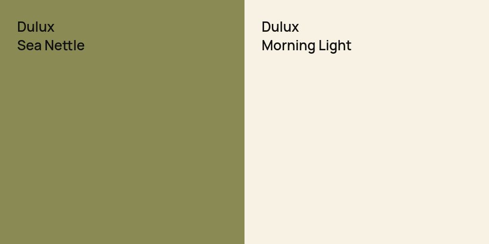 Dulux Sea Nettle vs. Dulux Morning Light comparison