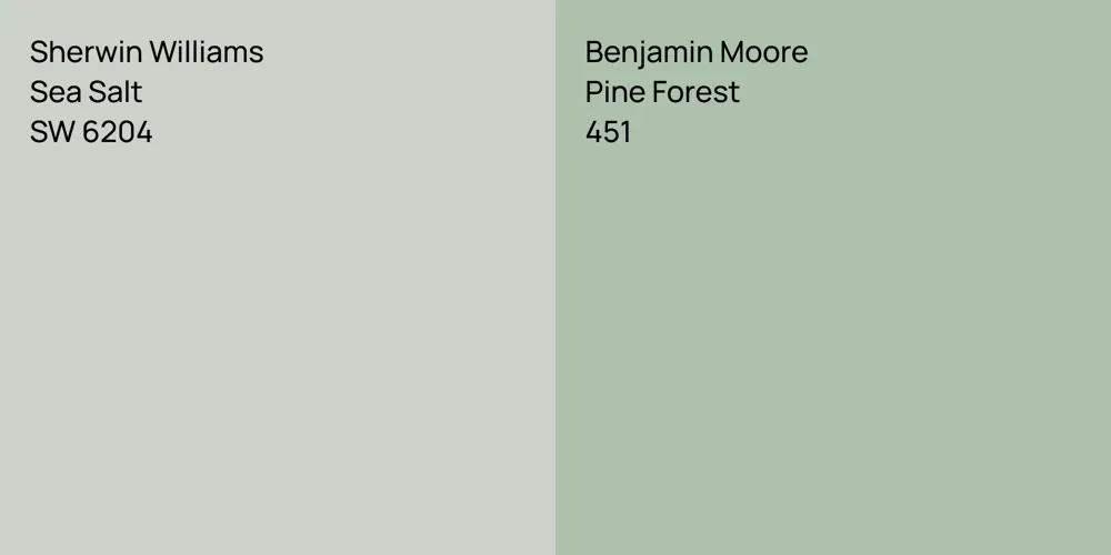Sherwin Williams Sea Salt vs. Benjamin Moore Pine Forest comparison