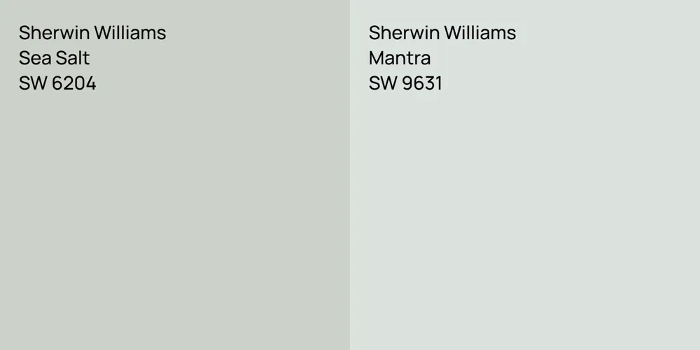Sherwin Williams Sea Salt vs. Sherwin Williams Mantra comparison