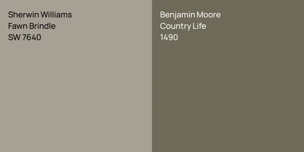 Sherwin Williams Fawn Brindle vs. Benjamin Moore Country Life comparison
