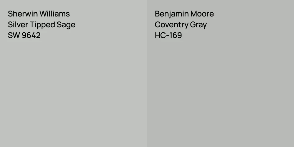 Sherwin Williams Silver Tipped Sage vs. Benjamin Moore Coventry Gray comparison