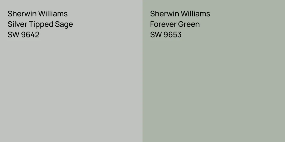 Sherwin Williams Silver Tipped Sage vs. Sherwin Williams Forever Green ...