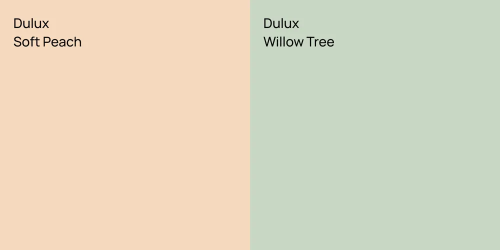 Dulux Soft Peach vs. Dulux Willow Tree comparison