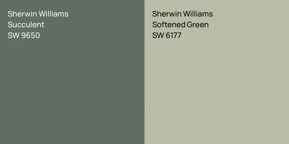 Sherwin Williams Succulent vs. Sherwin Williams Softened Green comparison