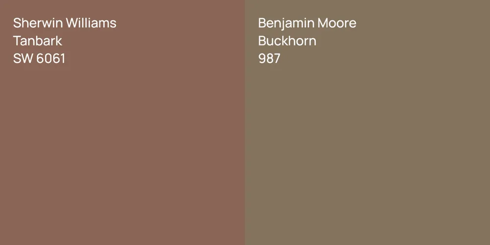 Sherwin Williams Tanbark vs. Benjamin Moore Buckhorn comparison